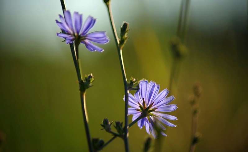Live cameras - Ośrodek RYTERSKI